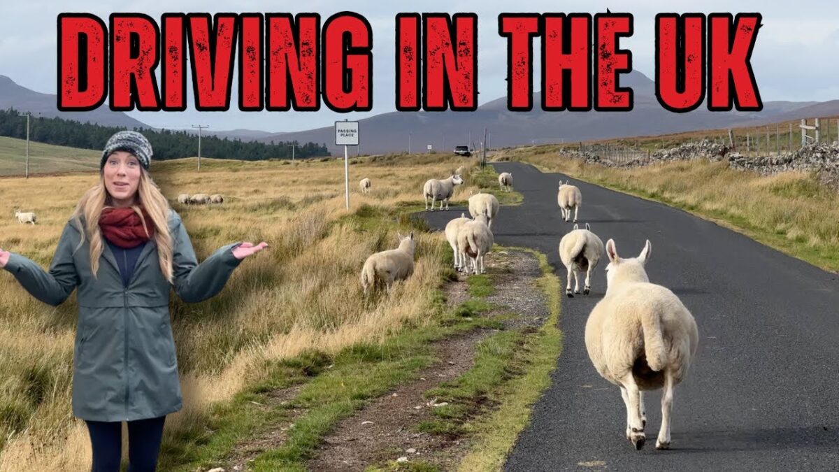 Exclusive Creator: Honest Places - Ruthless Talent - Influencer ...